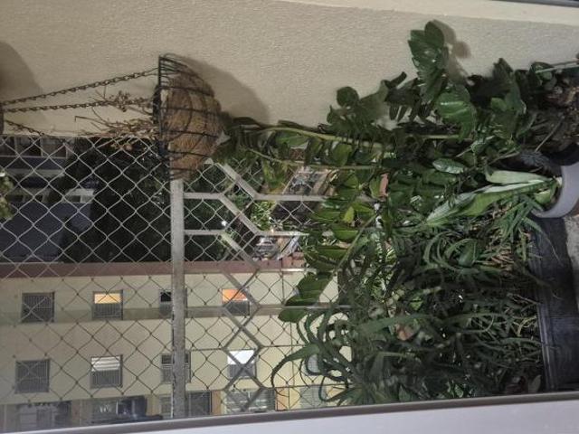Apartamento à venda em Sítio Pinheirinho com 52 m², 2 quartos, 1 vaga