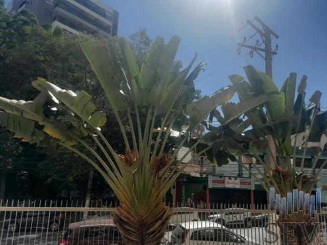 Apartamento à venda em Vila Guarani Zona Sul