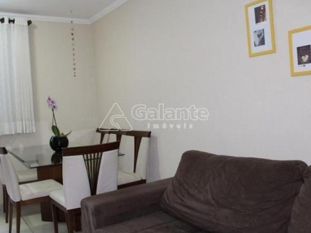 apartamento à venda em Vila Manoel Ferreira