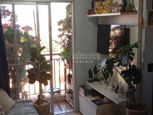 apartamento à venda em Vila Mimosa