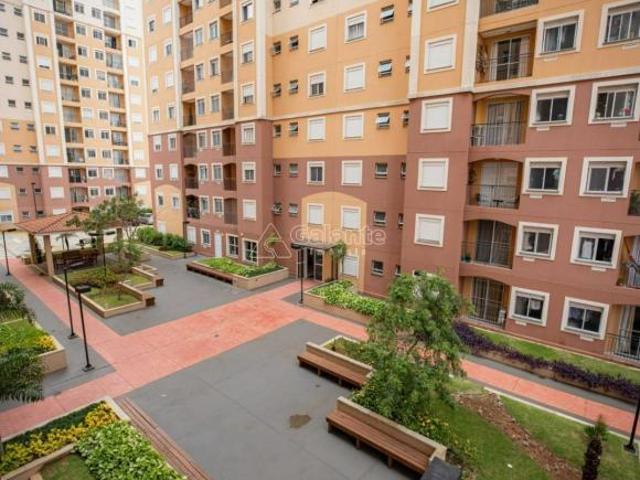 apartamento à venda em Vila Satúrnia