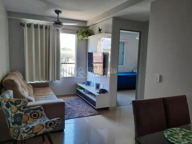 apartamento à venda em Vila Satúrnia