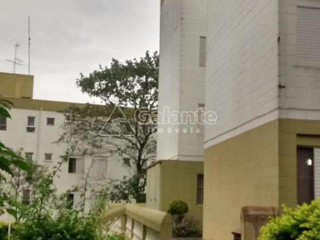 apartamento à venda em Vila Padre Manoel de Nóbrega