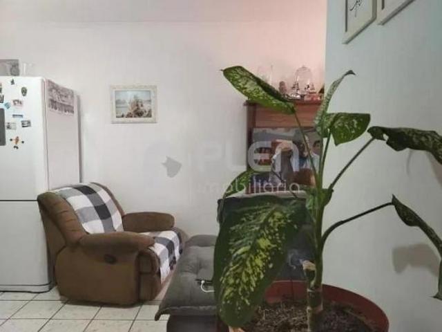 Apartamento à venda, Jaçanã, São Paulo, SP