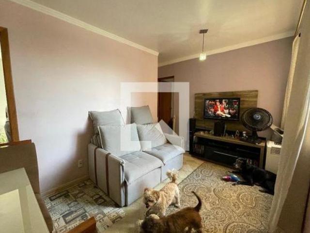 Apartamento à Venda Jaguaré, 2 Quartos, 46 m² São Paulo