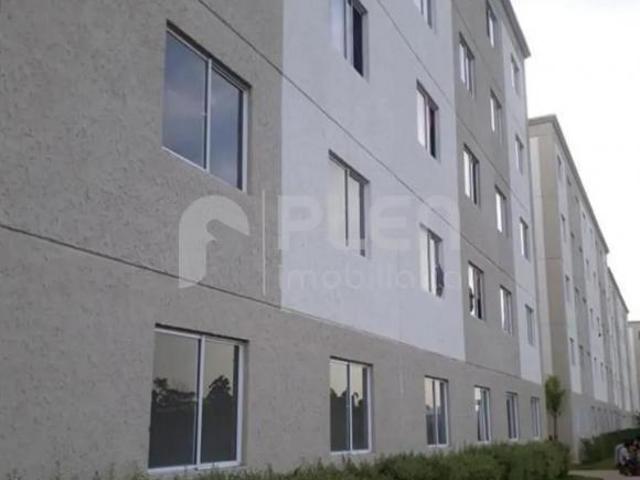 Apartamento à venda, Jardim das Oliveiras, São Paulo, SP