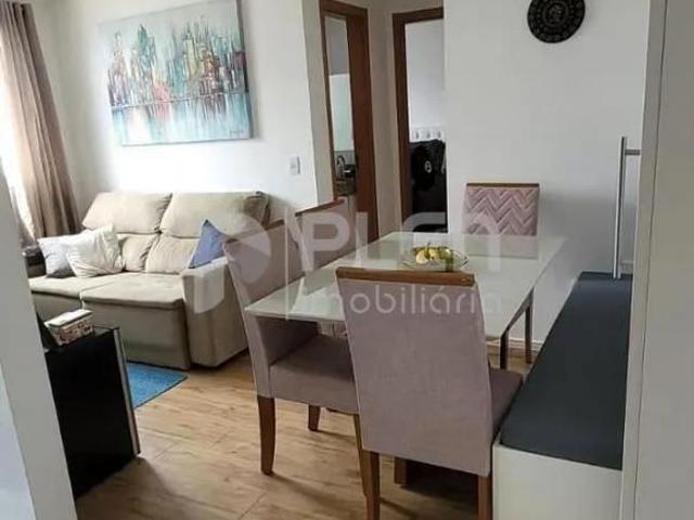 Apartamento à venda, Jardim Íris, São Paulo, SP
