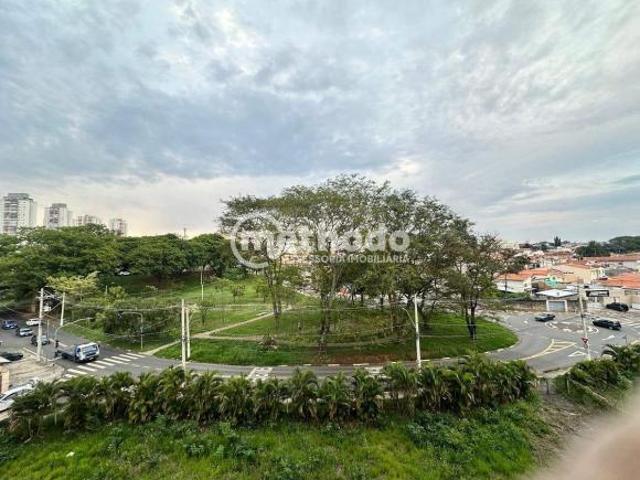 Apartamento à venda, Jardim Margarida, Campinas, SP