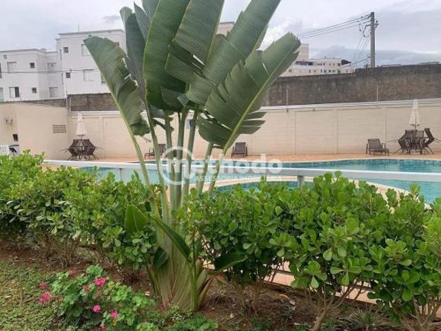 Apartamento à venda, Jardim Nova Europa, Campinas, SP