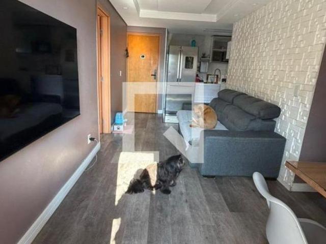 Apartamento à Venda Parque Viana, 3 Quartos, 62 m2