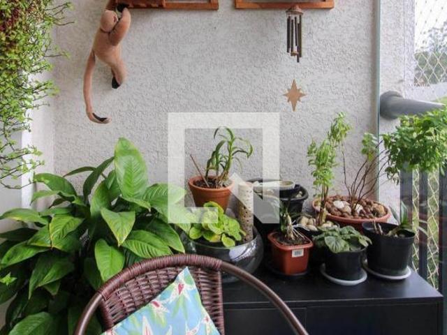 Apartamento à Venda Portal do Morumbi, 3 Quartos, 65 m2