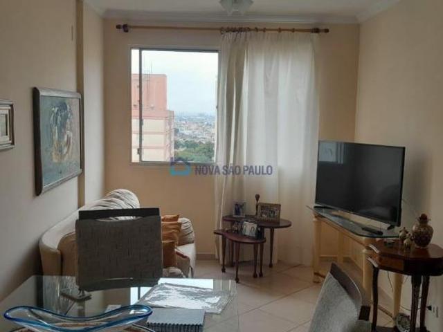 Apartamento à venda próximo ao Zoológico, andar alto, frente, reformado