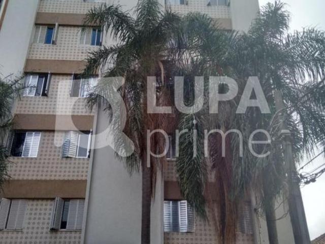Apartamento á venda Santana 2 dormitórios, 1 sala, 2 banheiros, 1 vaga, 62m²