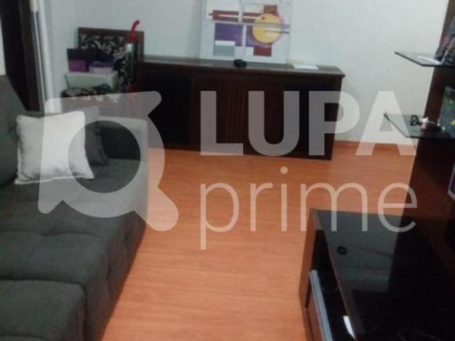 Apartamento á venda Tucuruvi 3 dormitórios, 3 banheiros, 1 vaga,75 m²