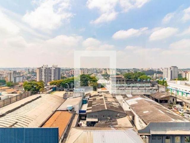 Apartamento à Venda Vila Campestre, 2 Quartos, 52 m² São Paulo