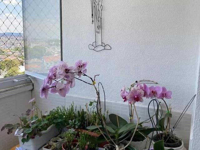 Apartamento à venda, Vila Bela Vista Zona Norte, São Paulo, SP