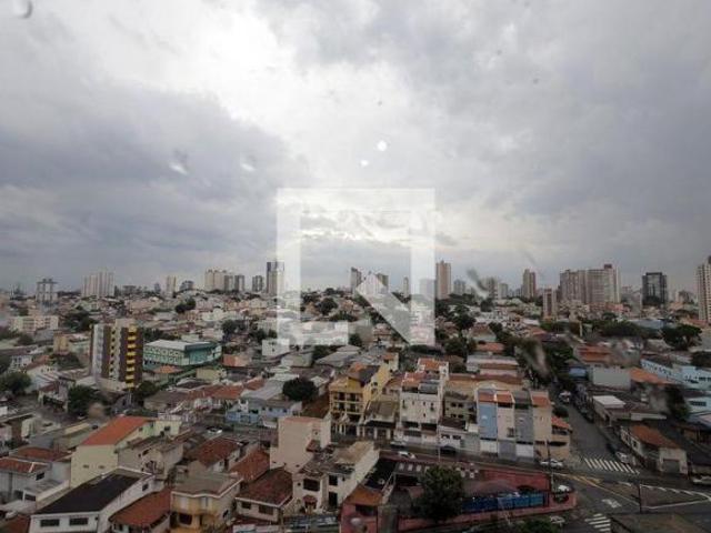 Apartamento à Venda Vila Leopoldina, 3 Quartos, 73 m2