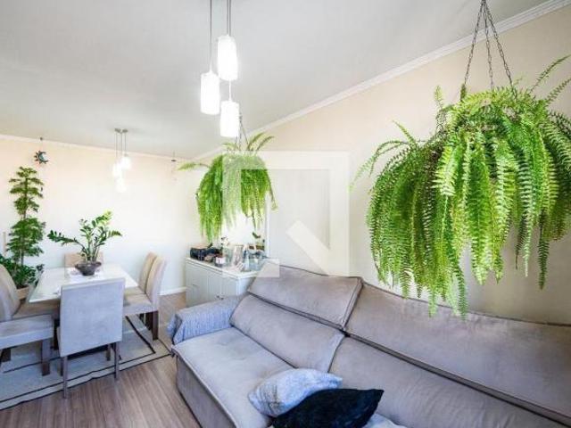 Apartamento à Venda Vila Mascote, 2 Quartos, 65 m2