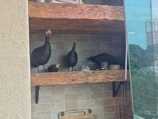 Apartamento à venda, 140 m² por R$ 1.790.000,00 Jardim Sao Paulo Zona Norte São Paulo/SP