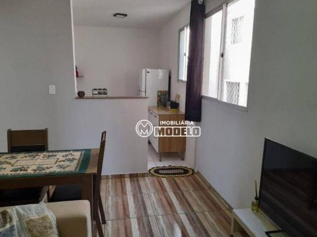 Apartamento à venda, 47 m² por R$ 145.000,00 Campestre Piracicaba/SP