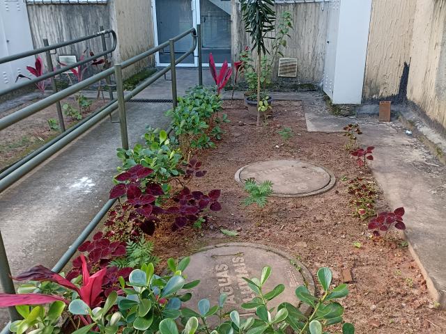 Apartamento Aconchegante em Alberto Maia