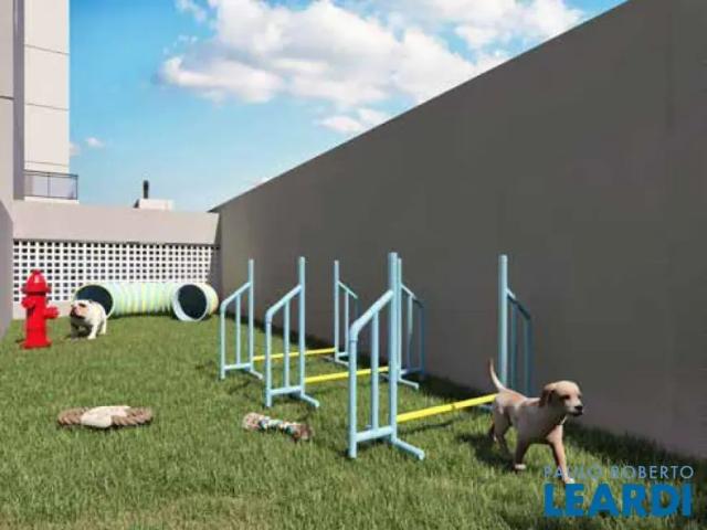 Apartamento aclimação sp