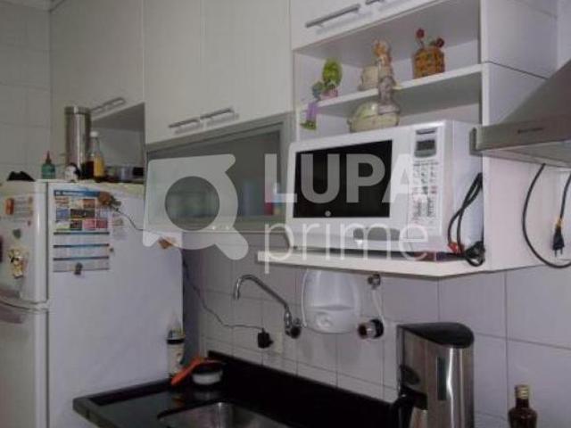 APARTAMENTO AGUA FRIA
