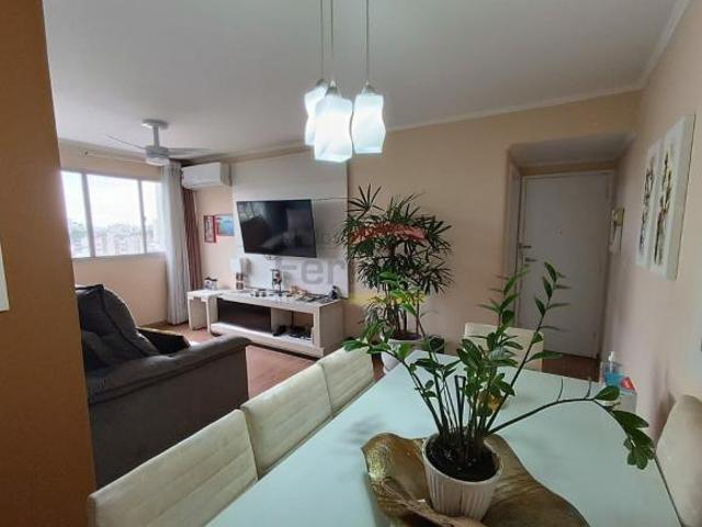 Apartamento Água Fria, 77 metros, 2 dormitórios, dependência empregados, 2 vagas, piscina