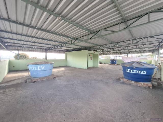 Apartamento Aluguel