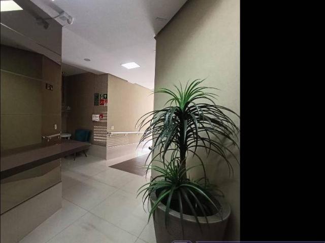 Apartamento Aluguel