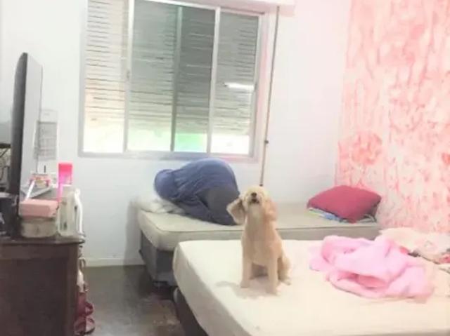 Apartamento bela vista sao paulo sp brasil