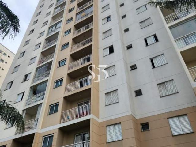 Apartamento, Bonfim, Campinas, SP