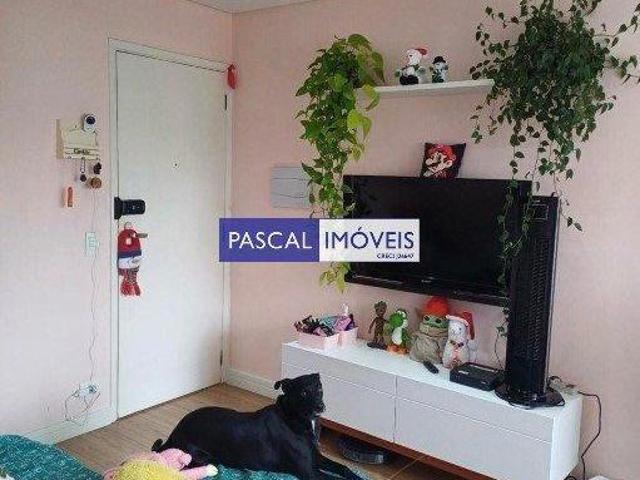 Apartamento Brooklin 1 Dormitório 1 Vaga