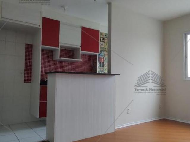 Apartamento Cambuci com 33 metros, 01 Dormitório com Armários, Cozinha Americana Planejada com Forno
