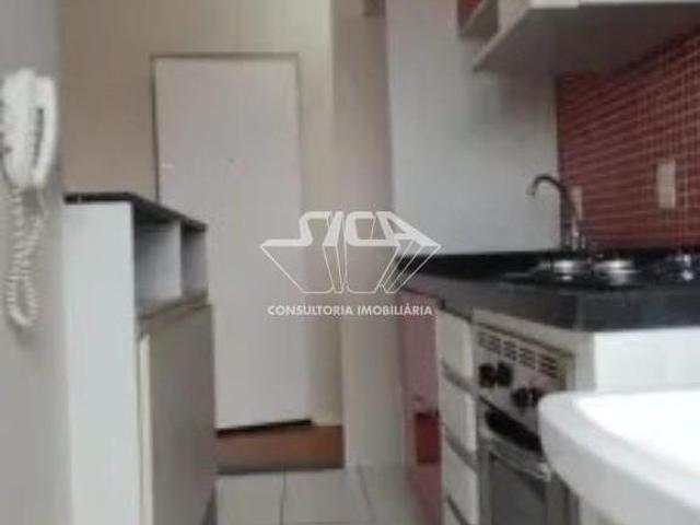 Apartamento, Cambuci, São Paulo, SP