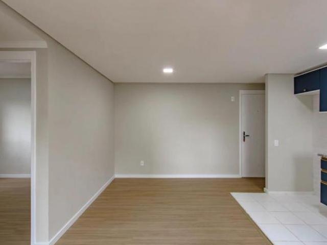 Apartamento, Cambuci, São Paulo, SP