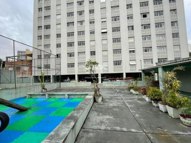 Apartamento, Cambuci, São Paulo, SP