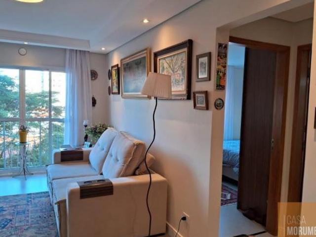 Apartamento, Cambuci, São Paulo, SP