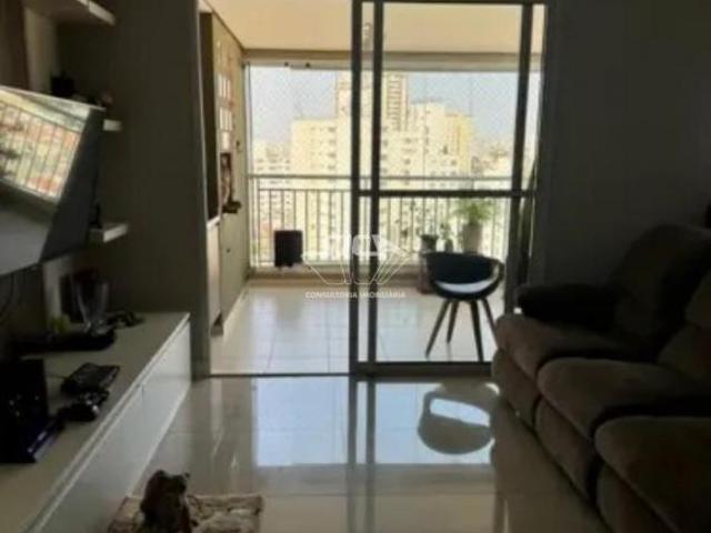 Apartamento, Cambuci, São Paulo, SP