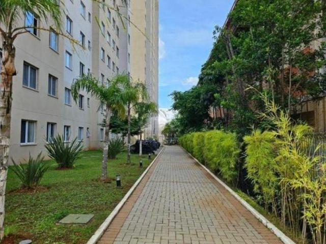 Apartamento, Cambuci, Sp, SP