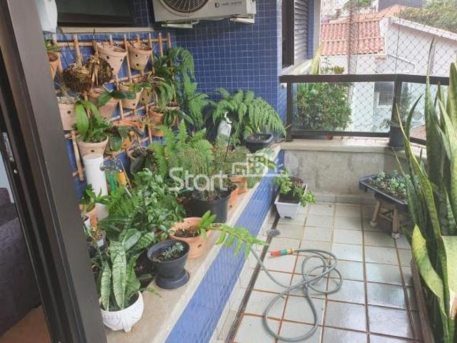 apartamento Cambuí Campinas