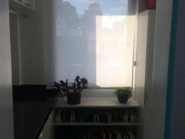 Apartamento, Cambuí, Campinas, SP