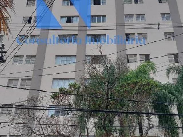Apartamento, Cambuí, Campinas, SP