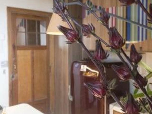 APARTAMENTO CENTRO