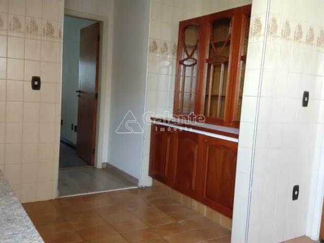 Apartamento Centro Campinas