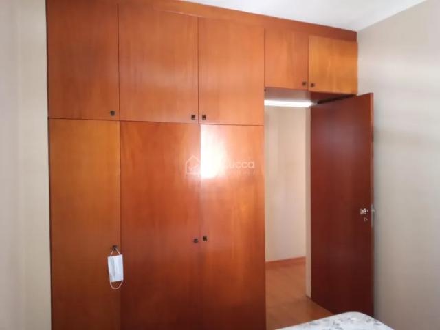 Apartamento Centro Campinas