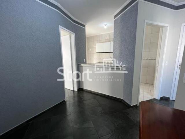 apartamento Centro Campinas