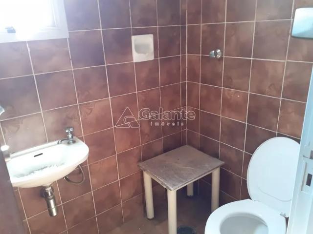 Apartamento Centro Campinas
