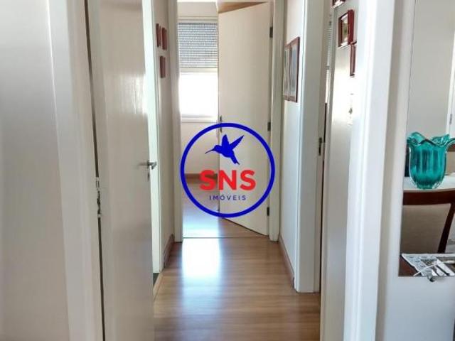 Apartamento, Centro, Campinas, SP