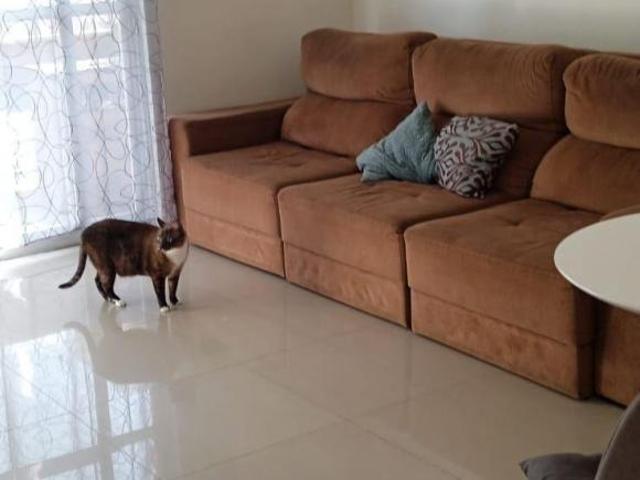 Apartamento Centro, Campinas/SP